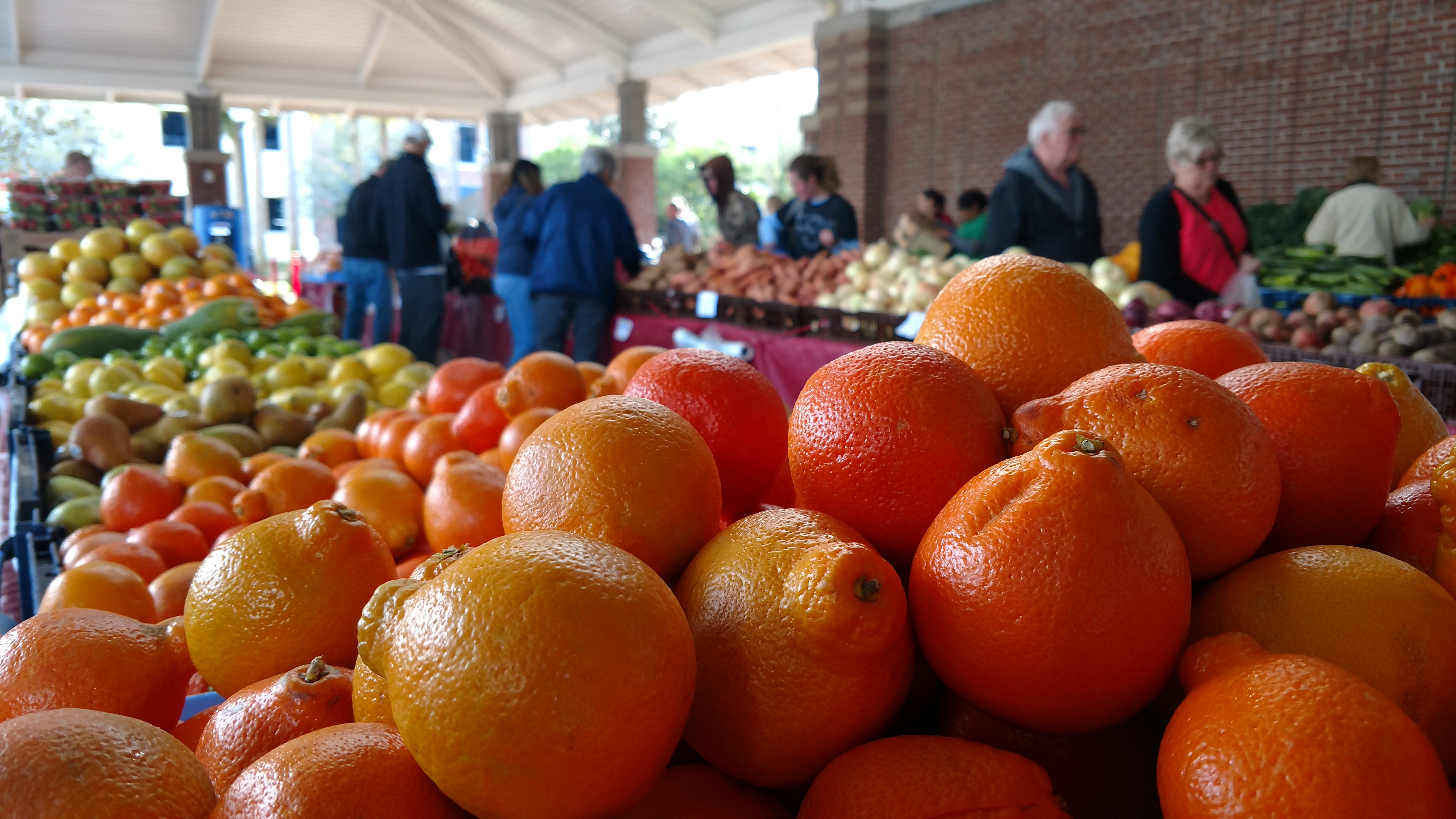 Oranges at the Winter Garden Farmers Market – Our Next Chapter