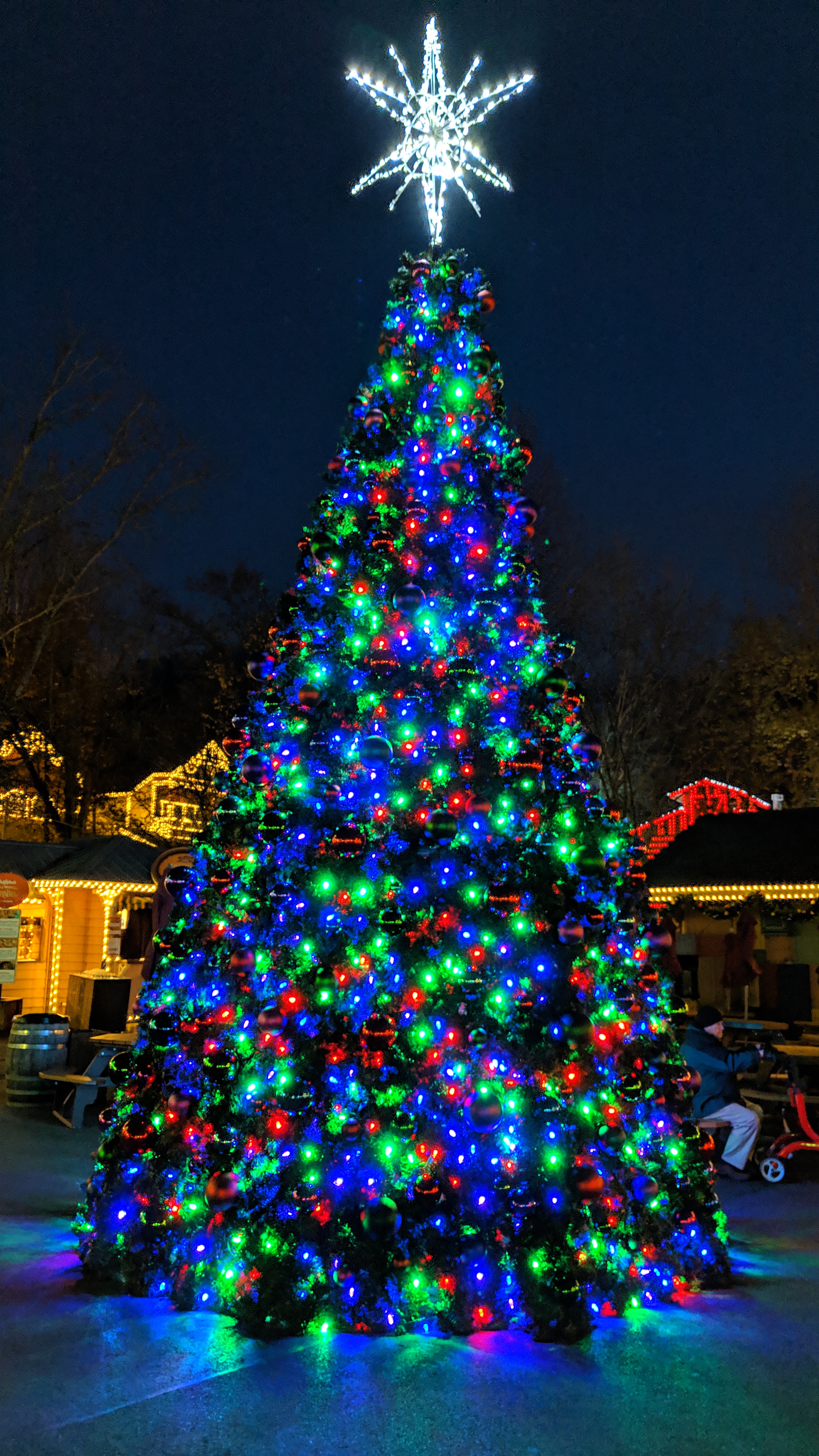 20181128 Dollywood Tree – Our Next Chapter
