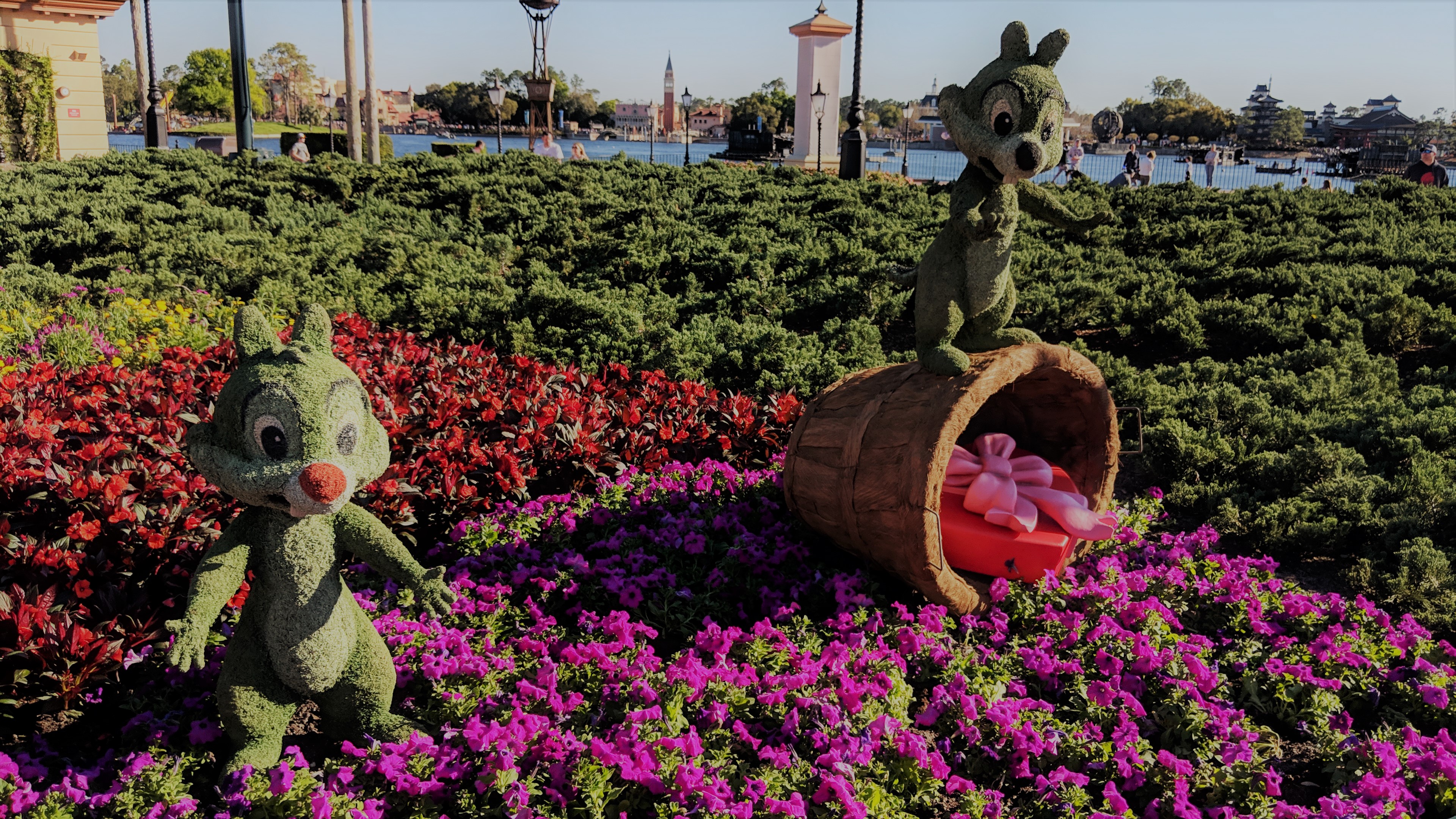 20190306 Chip and Dale Epcot Flower and Garden Festival – Our Next Chapter